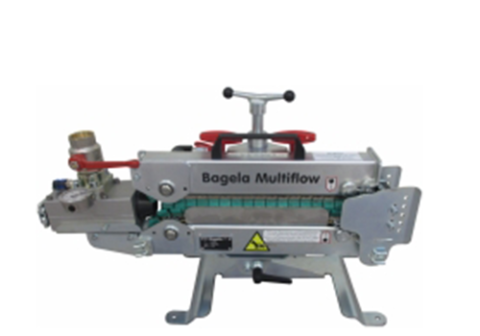 Bagela | Lucas Plant Sales